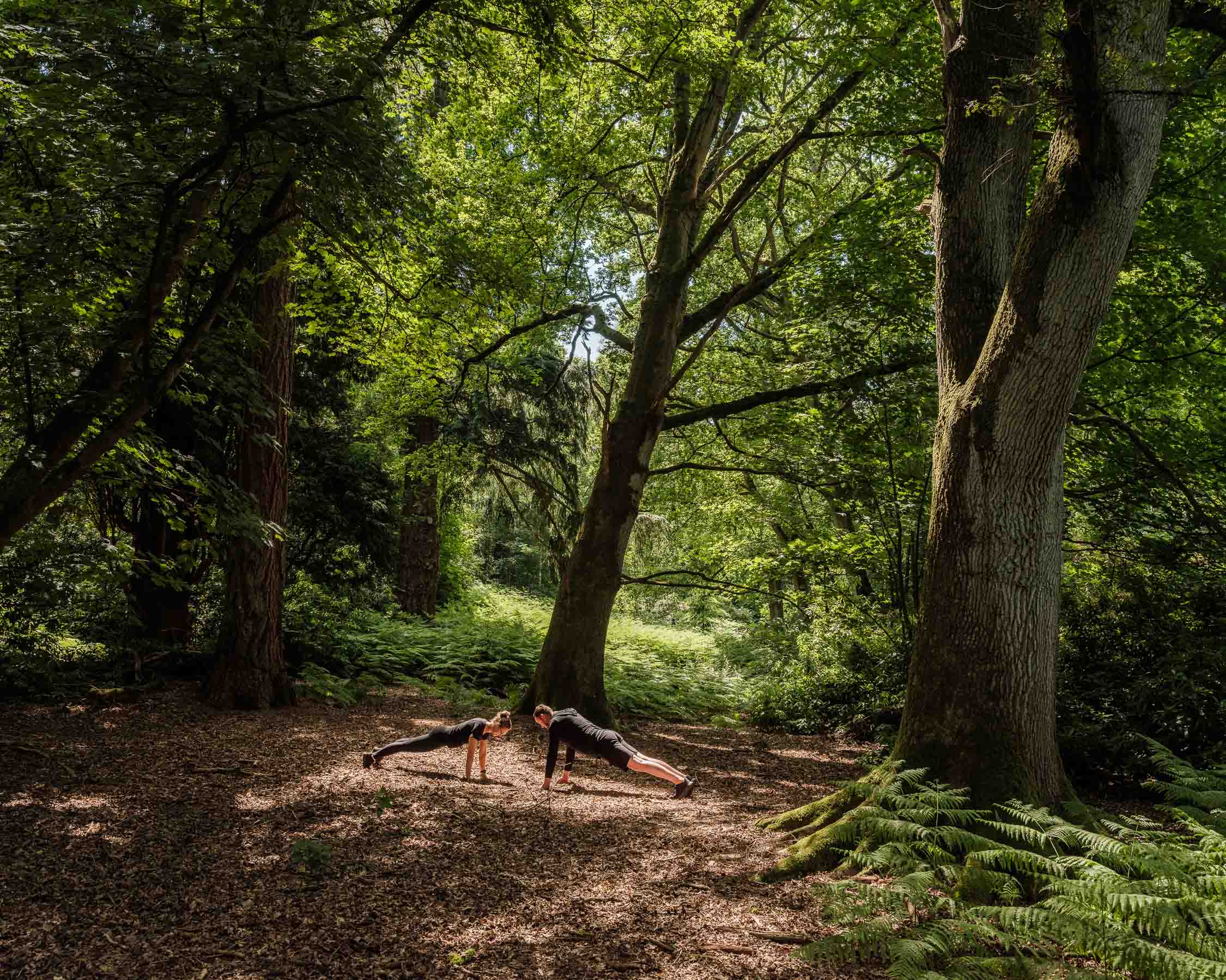 Reconnect - The Bothy